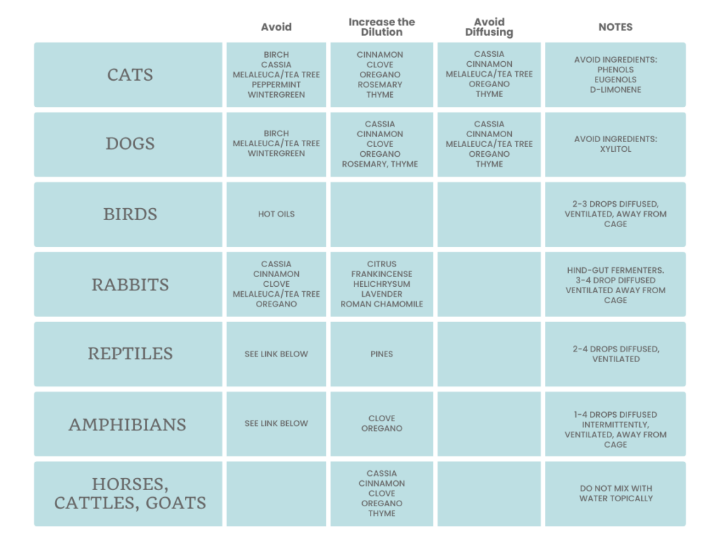 Scanning Your Pets with iTOVi - iTOVi - Discover wellness for Your Pets ...